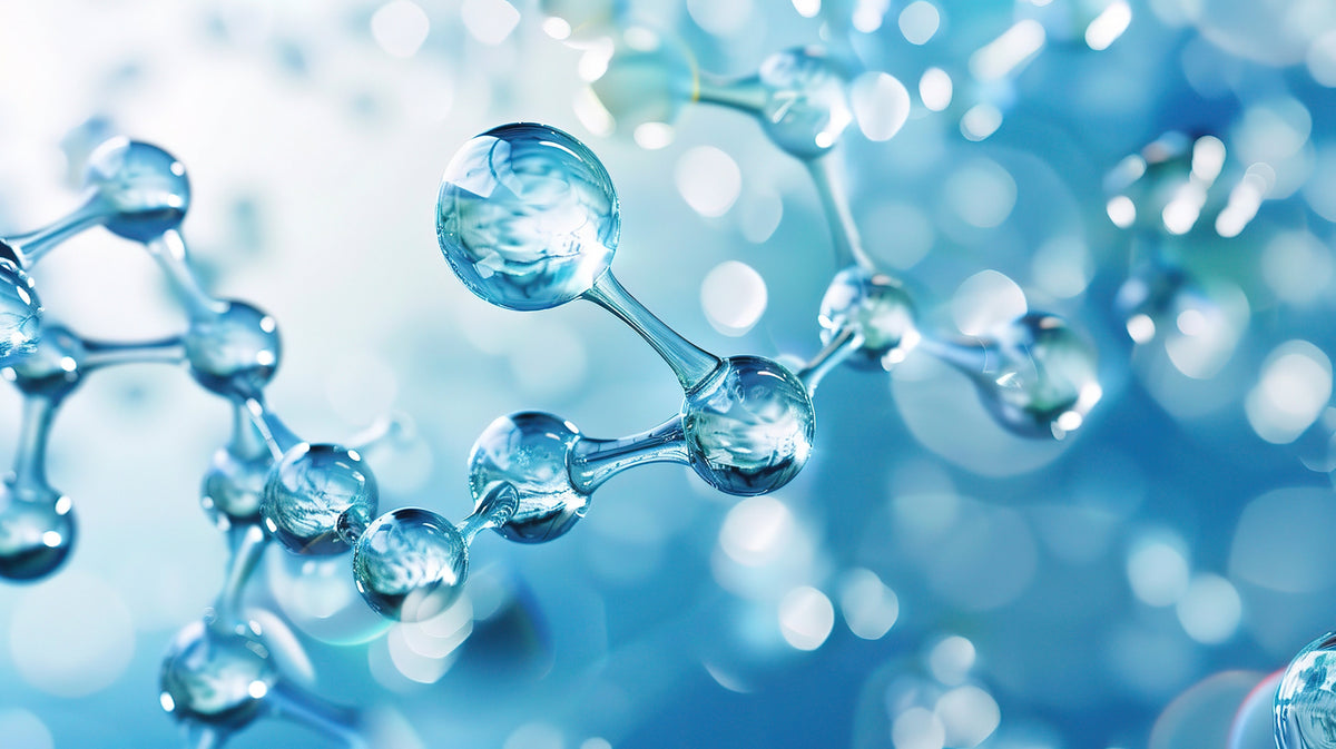 The Science Behind Perfect Drying and Curing – Cannatrol